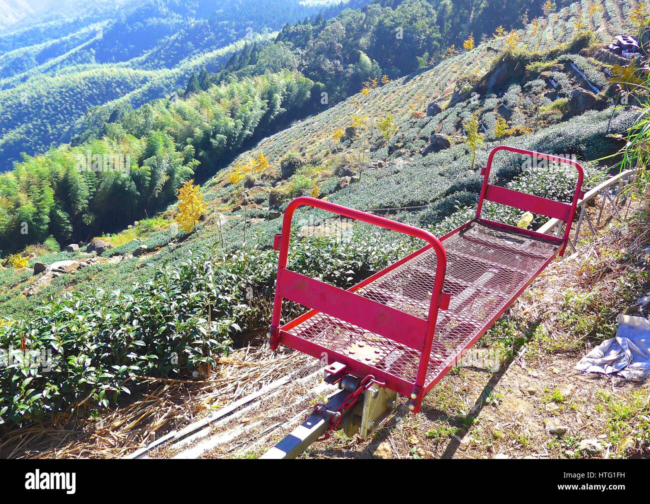 Tea van closeup in Taiwan Stock Photo - Alamy