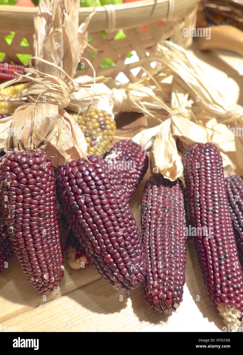 Purple corn hi-res stock photography and images - Alamy