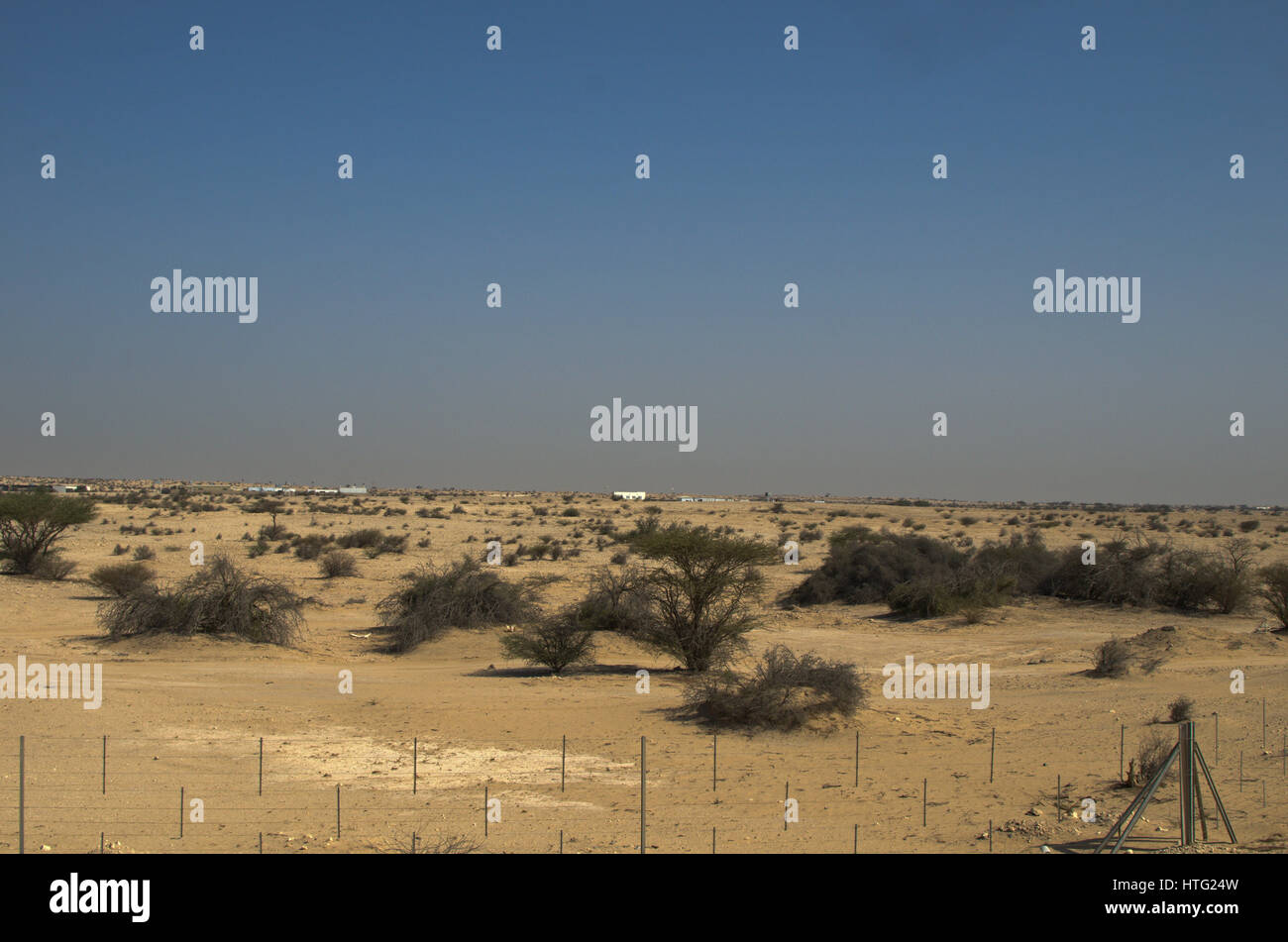 Desert landscape with desert shrubs and small desert plants Stock Photo ...
