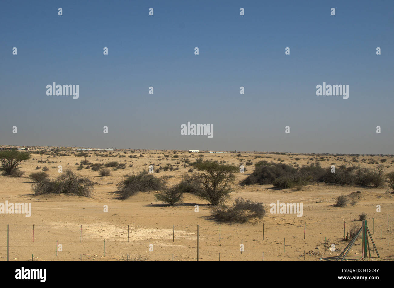 Desert landscape with desert shrubs and small desert plants Stock Photo ...