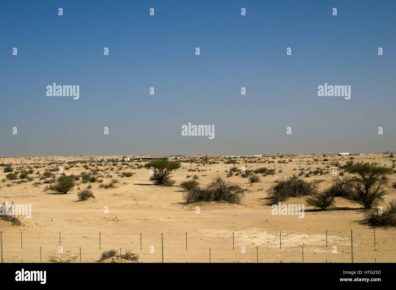Desert landscape with desert shrubs and small desert plants Stock Photo ...