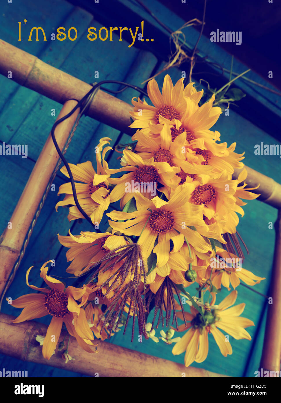 Apologize hi-res stock photography and images - Alamy