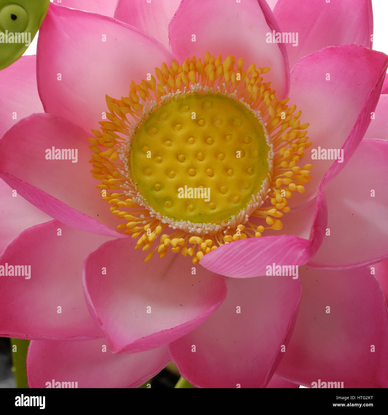 Artificial flower, handmade clay lotus flower with green leaf, pink ...
