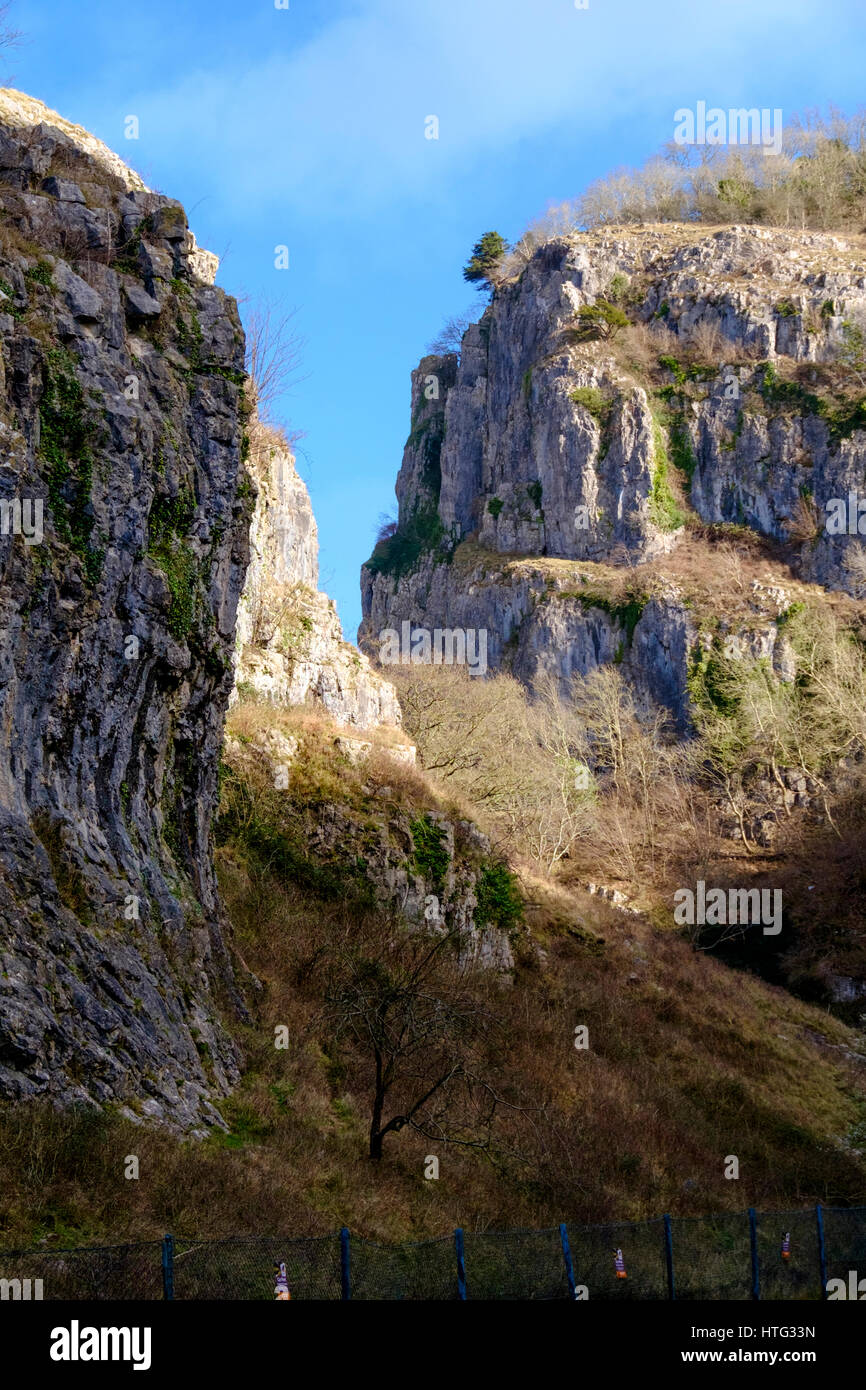 the cliffs of Cheddar Gorge Somerset England UK Stock Photo - Alamy