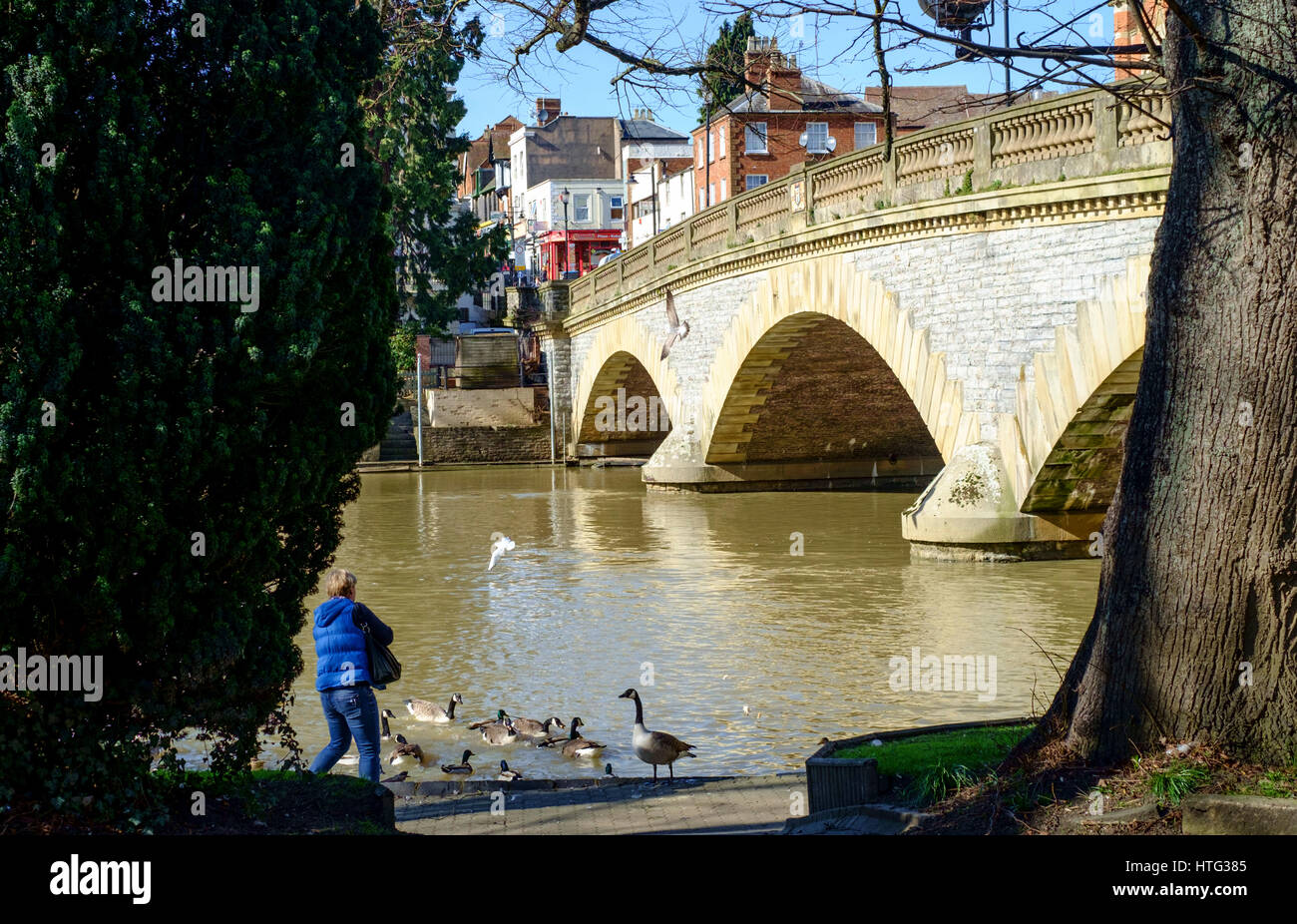 Evesham Bridge High Resolution Stock Photography and Images - Alamy
