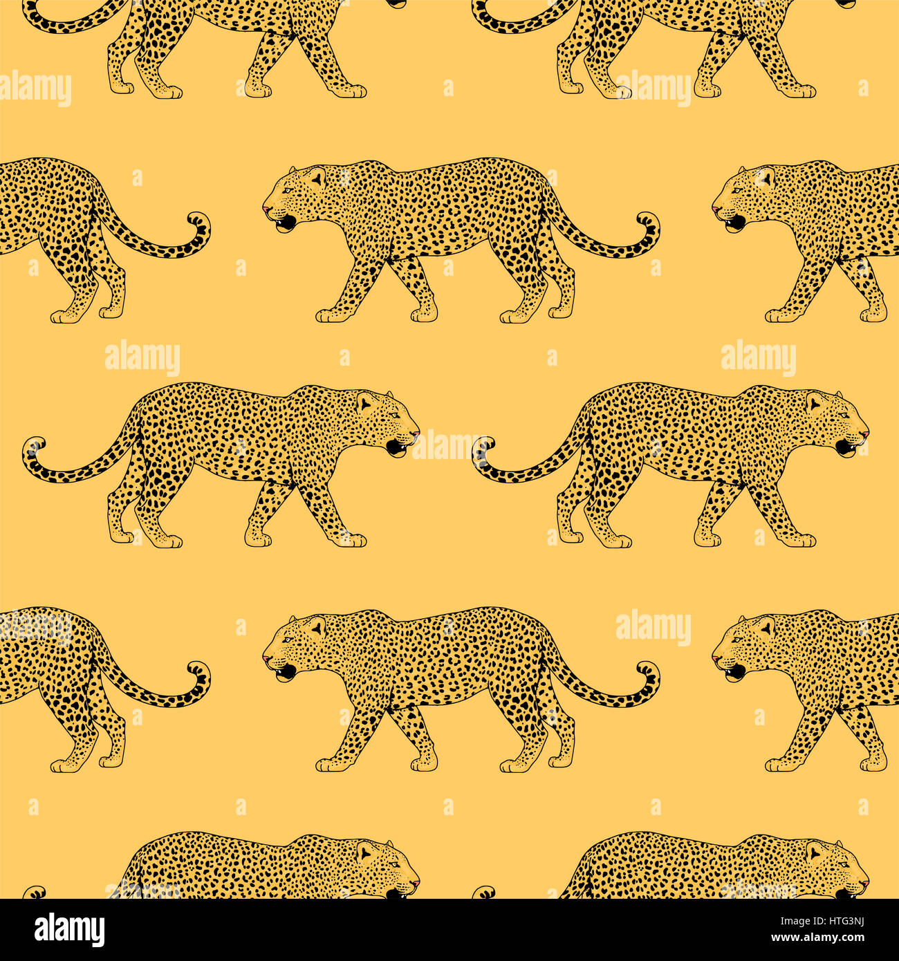 Leopard eyes illustration hi-res stock photography and images - Alamy