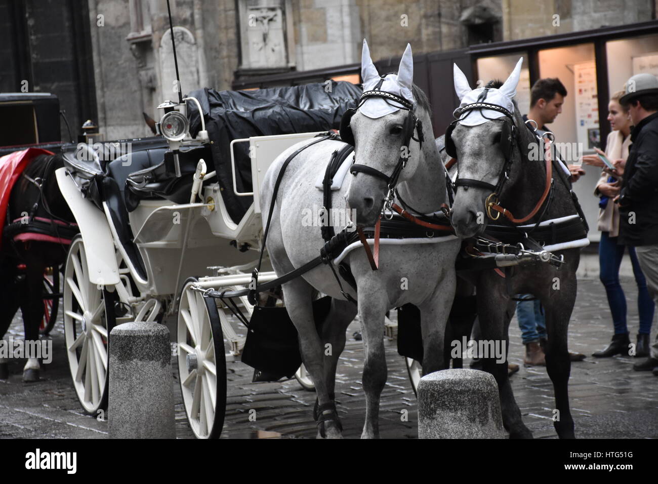 Horses pulling a carriage hi-res stock photography and images - Alamy