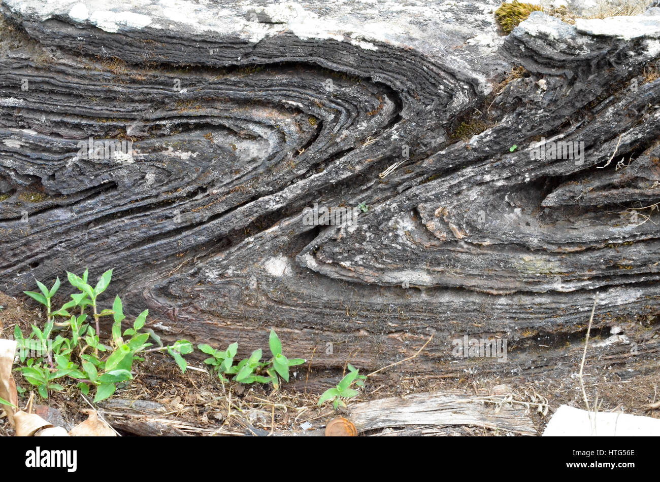 Layers of iron ore deposits found in the mullayanagiri mountain ranges ...