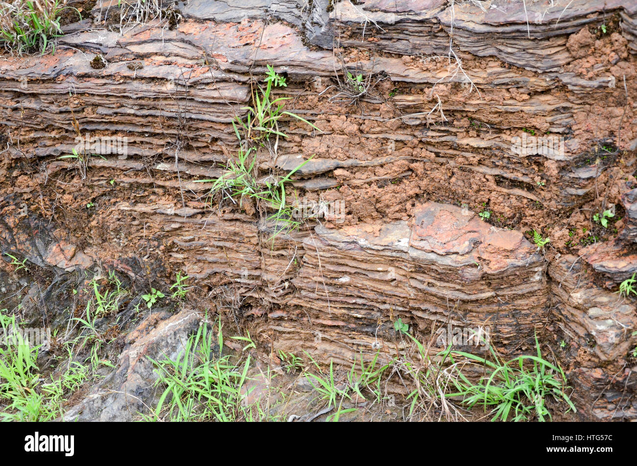 Layers of iron ore deposits found in the mullayanagiri mountain ranges ...