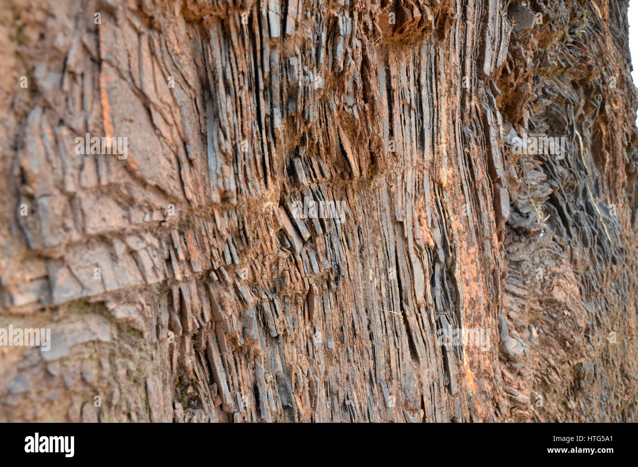 Layers of iron ore deposits found in the mullayanagiri mountain ranges ...
