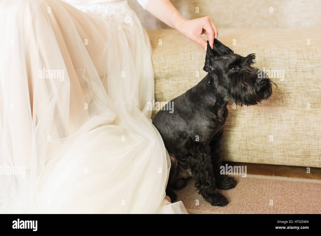 bride and her dog. the bride in a white dress and a black dog Stock ...