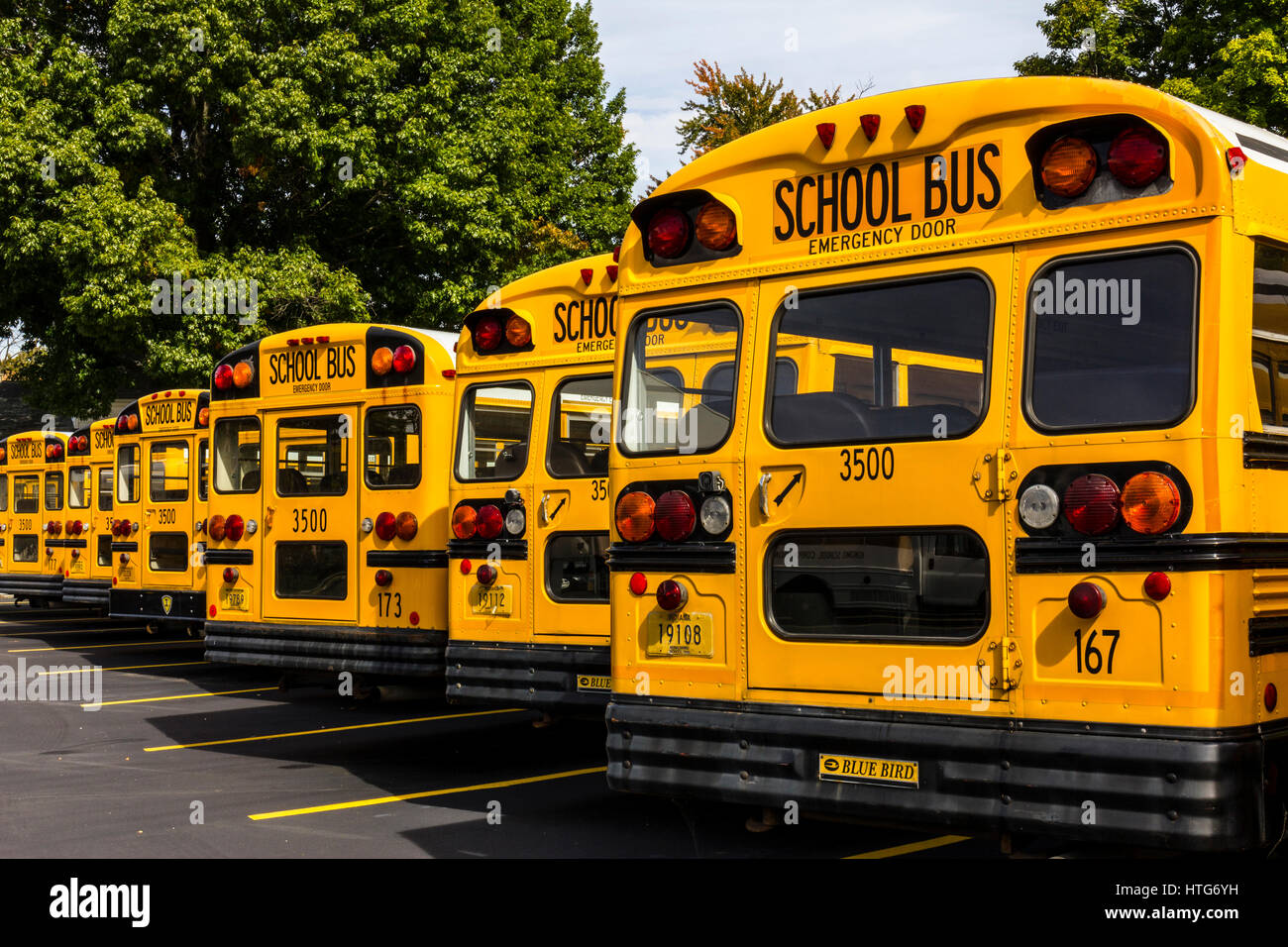 Yellow buses bus stop in hi-res stock photography and images - Alamy