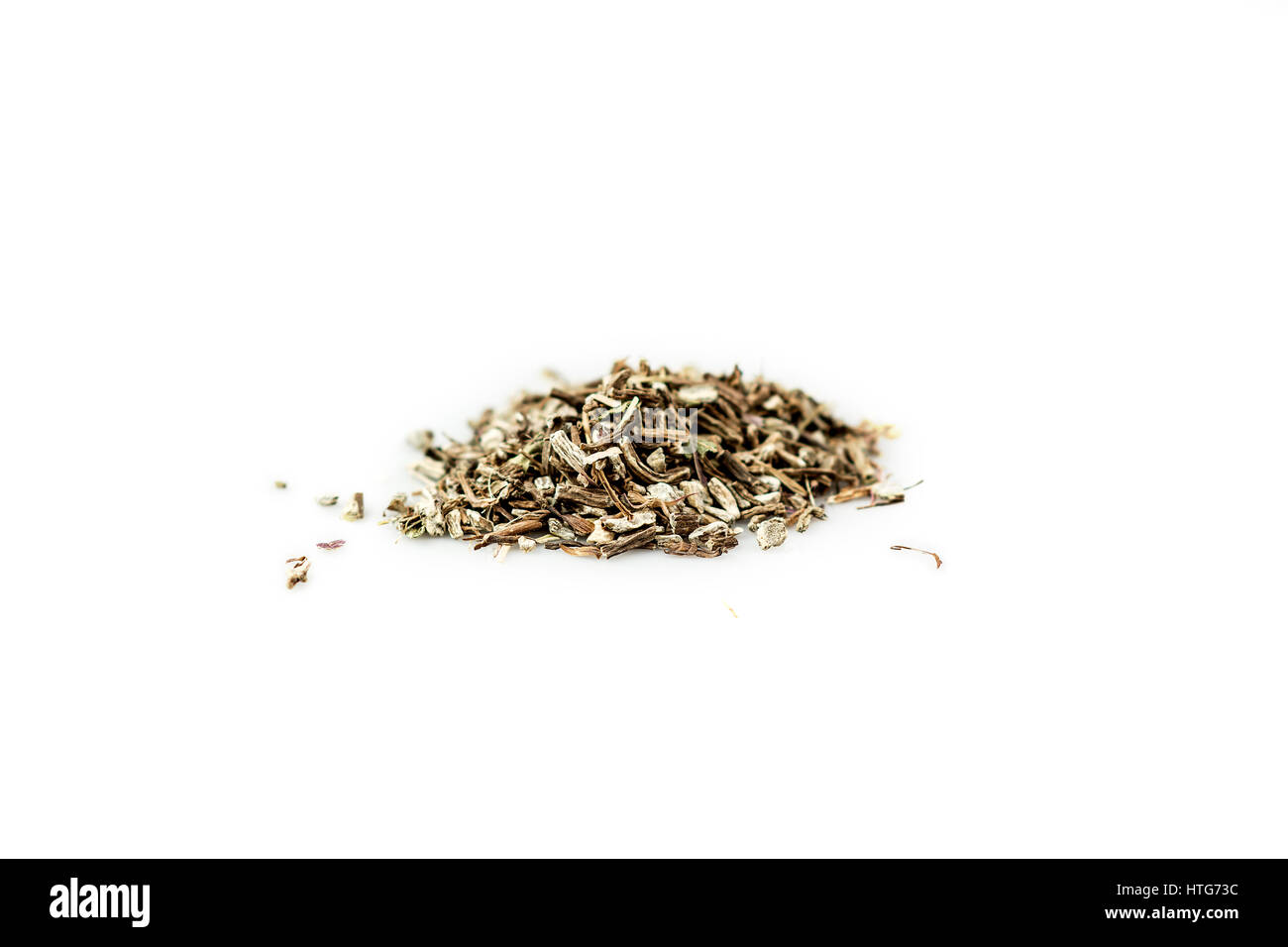Echinacea root hi-res stock photography and images - Alamy