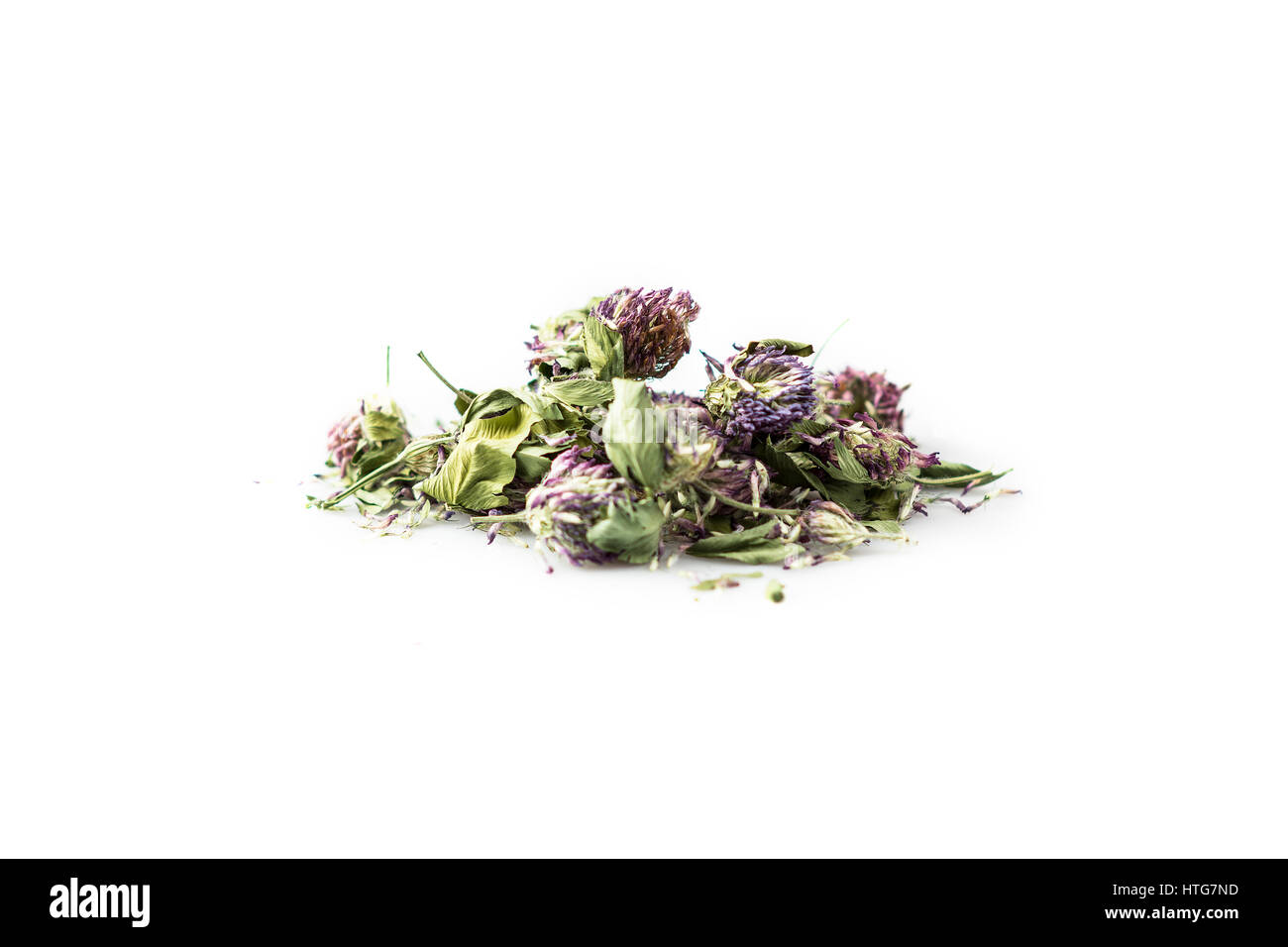 Dried red clover blossoms hi-res stock photography and images - Alamy