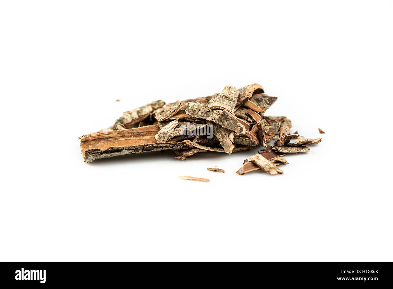 Witch Hazel Bark Stock Photo - Alamy