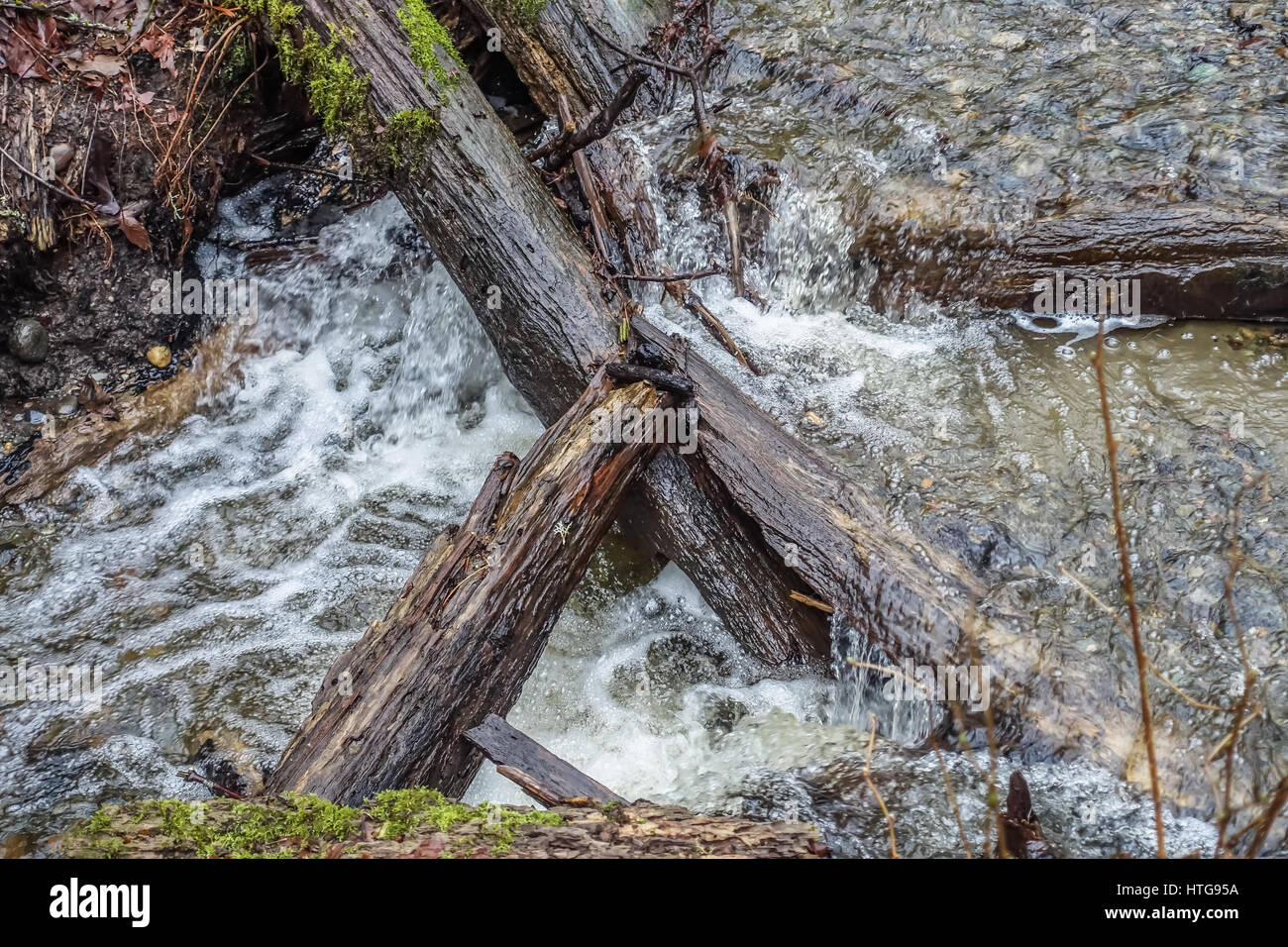 A stream flows around logs at Dash Point State Park in Washington State ...