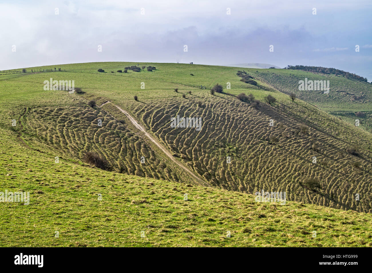 Terrace farming hillside hi-res stock photography and images - Alamy