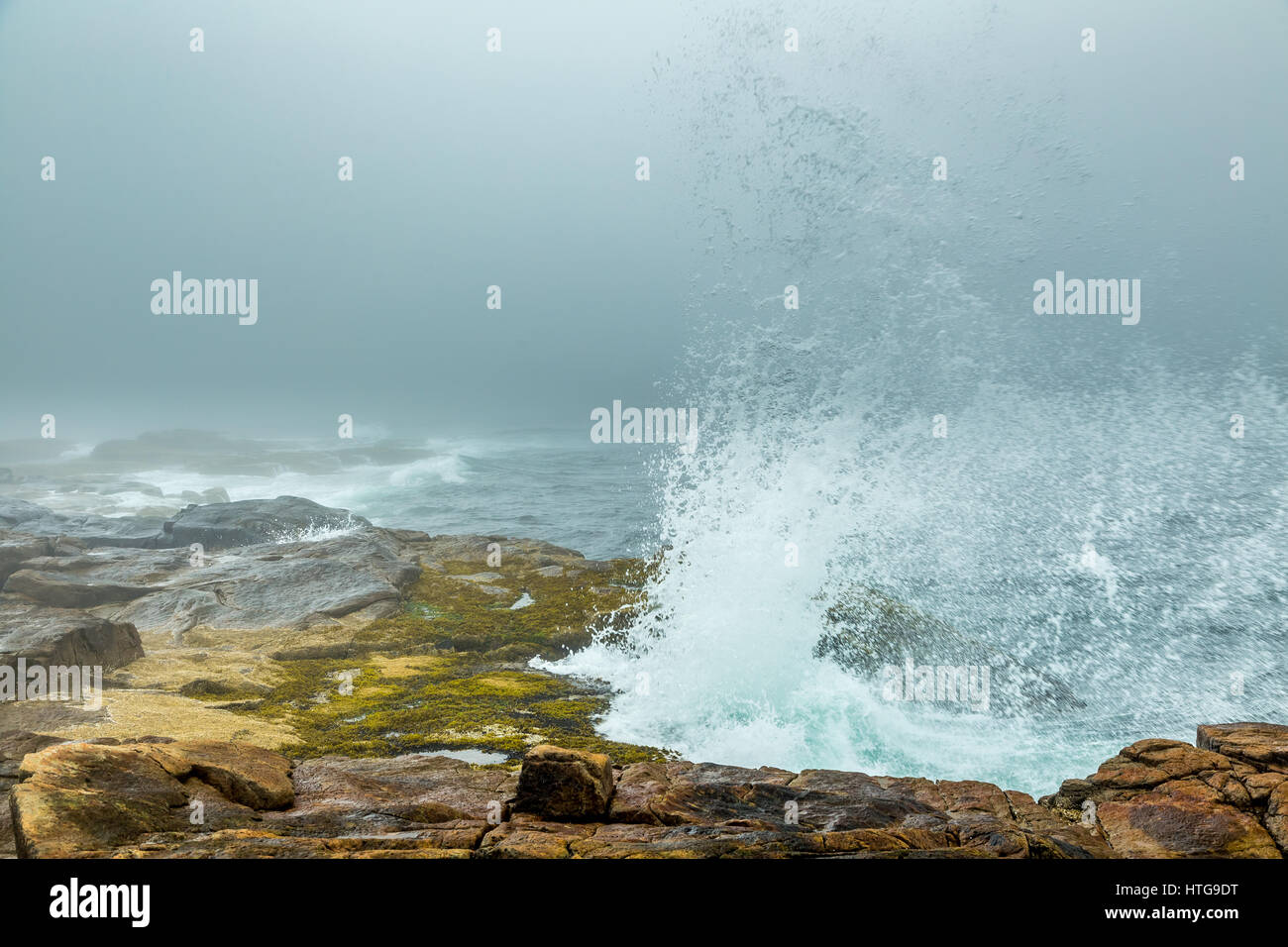 A morning fog lays over the Schoodic Peninsula at Acadia National Park ...