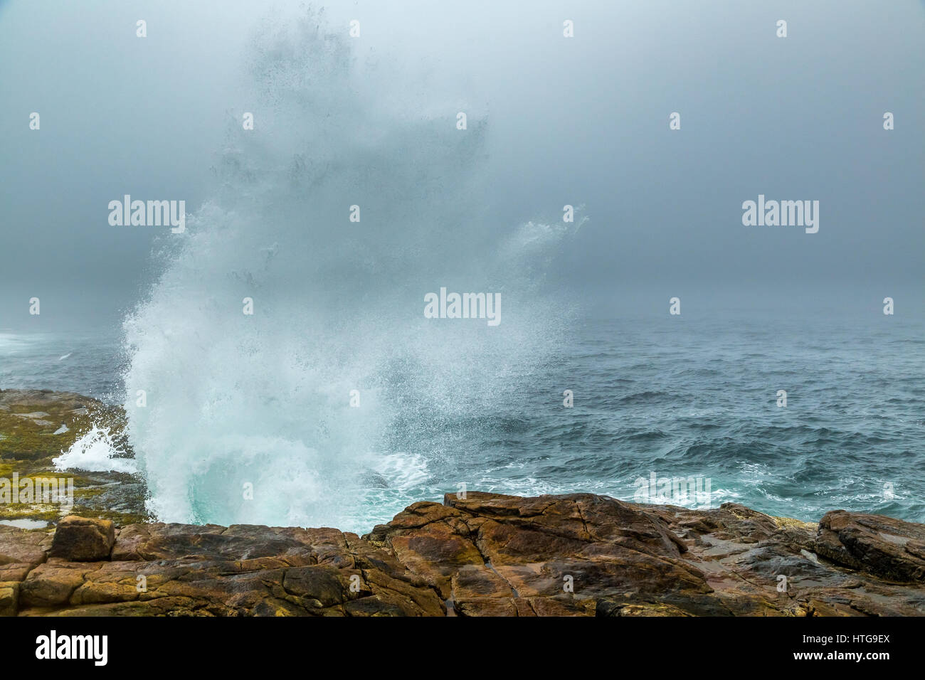 A morning fog lays over the Schoodic Peninsula at Acadia National Park ...