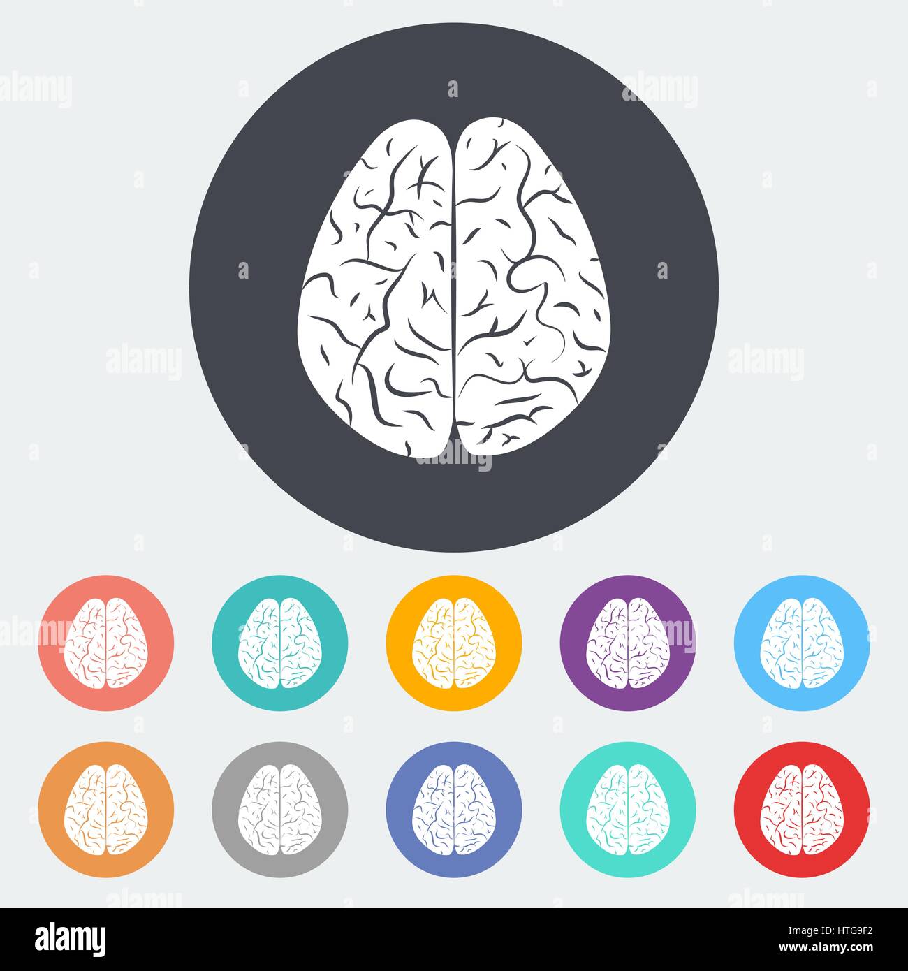 Human brain. Single flat icon on the circle. Vector illustration Stock ...