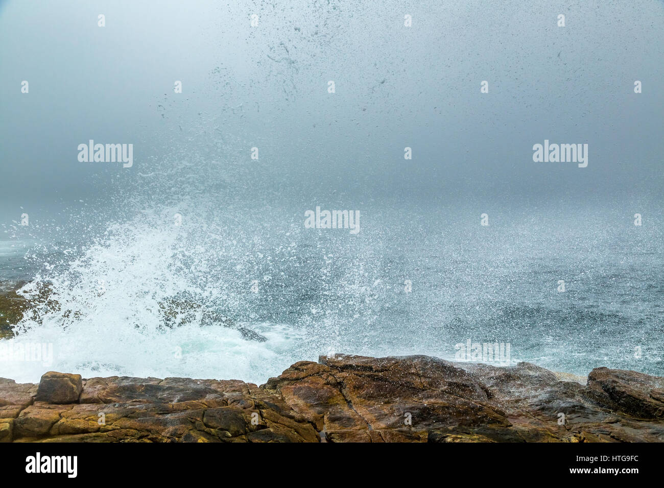 A morning fog lays over the Schoodic Peninsula at Acadia National Park ...