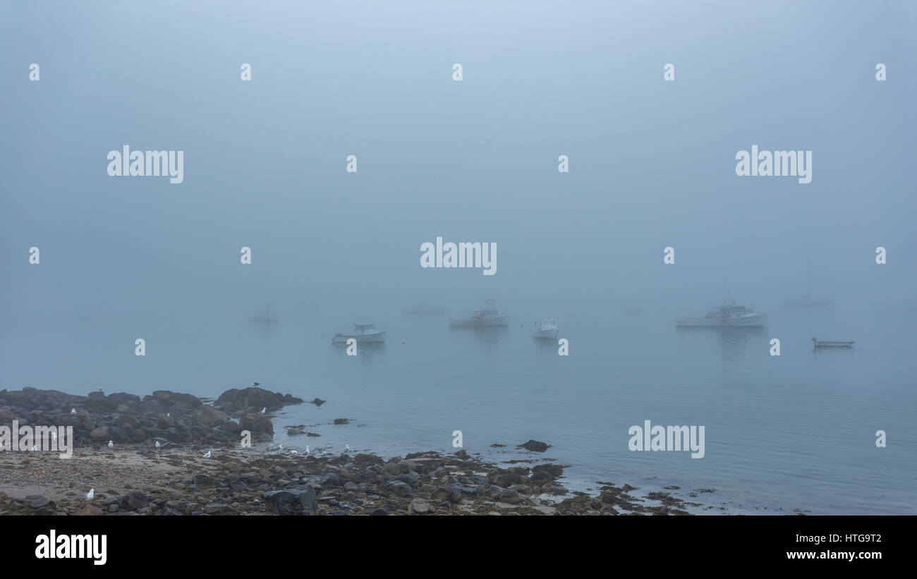 Schoodic peninsula acadia national park hi-res stock photography and ...