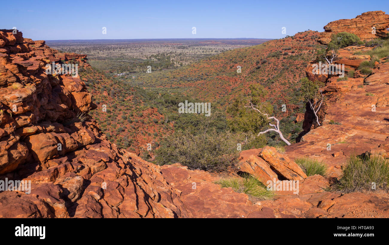 Orange rocks of remote Kings Canyon, Outback, Australia Stock Photo - Alamy