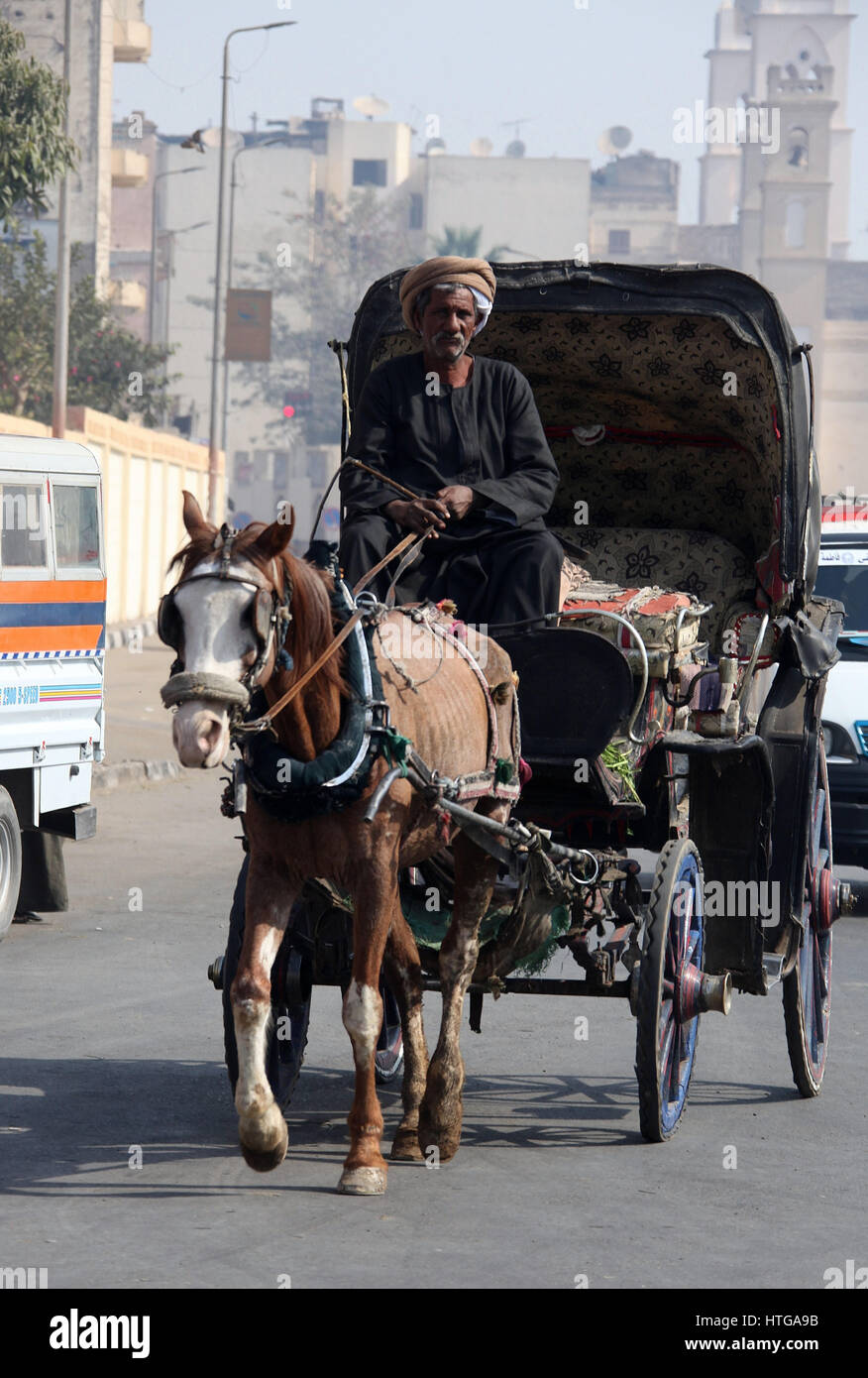 Caleche horse carriage in luxor egypt hi-res stock photography and ...