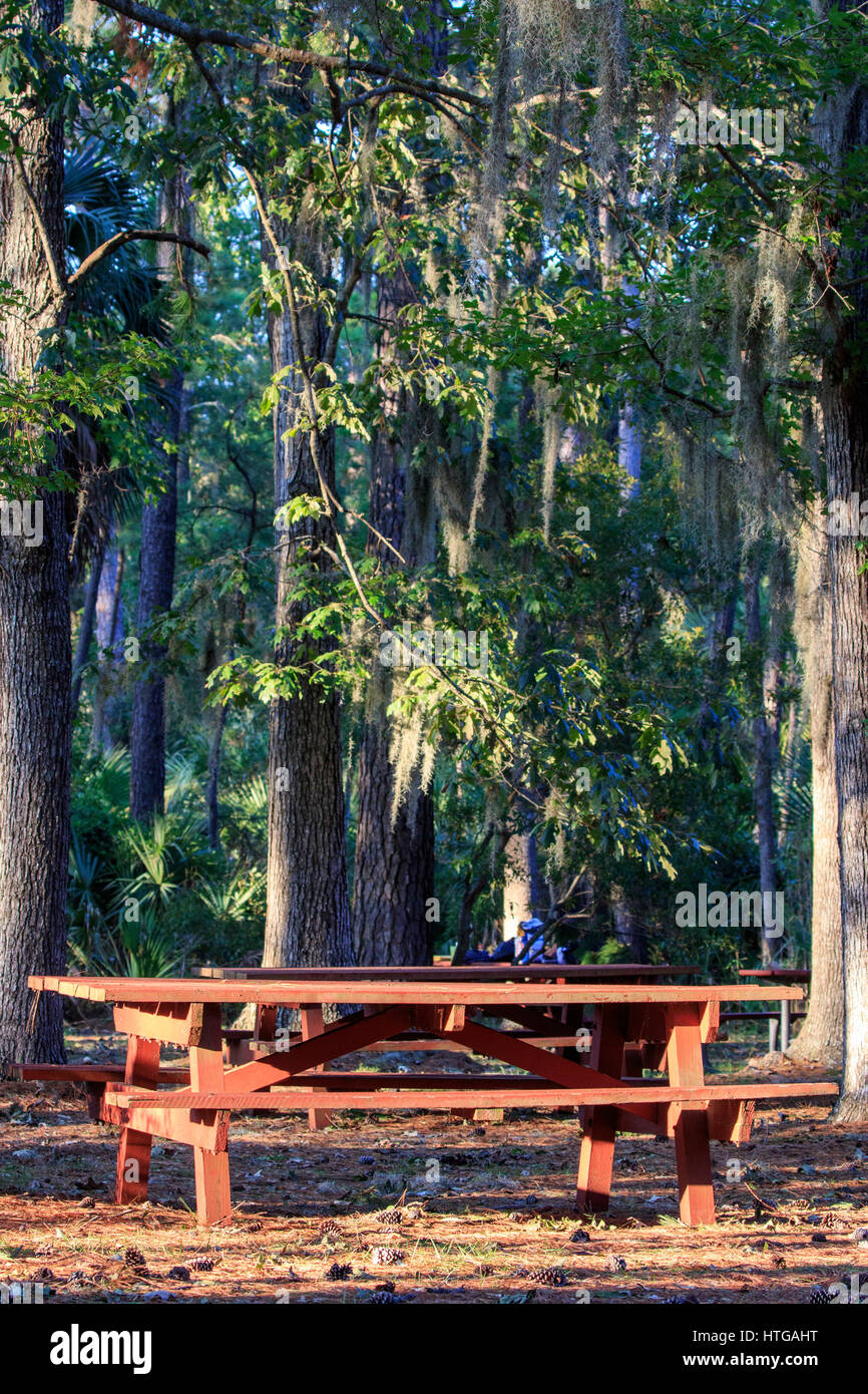 Picnic bench at the picnic area in Fort Pulaski National Monument Stock ...