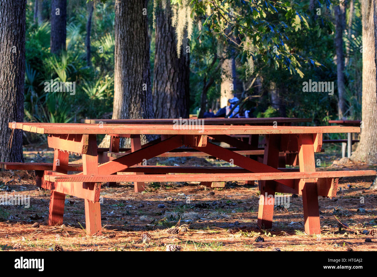 Picnic bench at the picnic area in Fort Pulaski National Monument Stock ...
