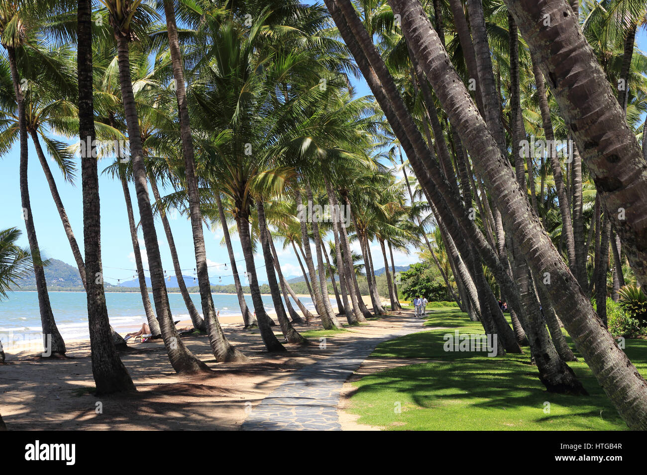 Inside the picturesque palm tree grove with 3 men starting to walk up ...