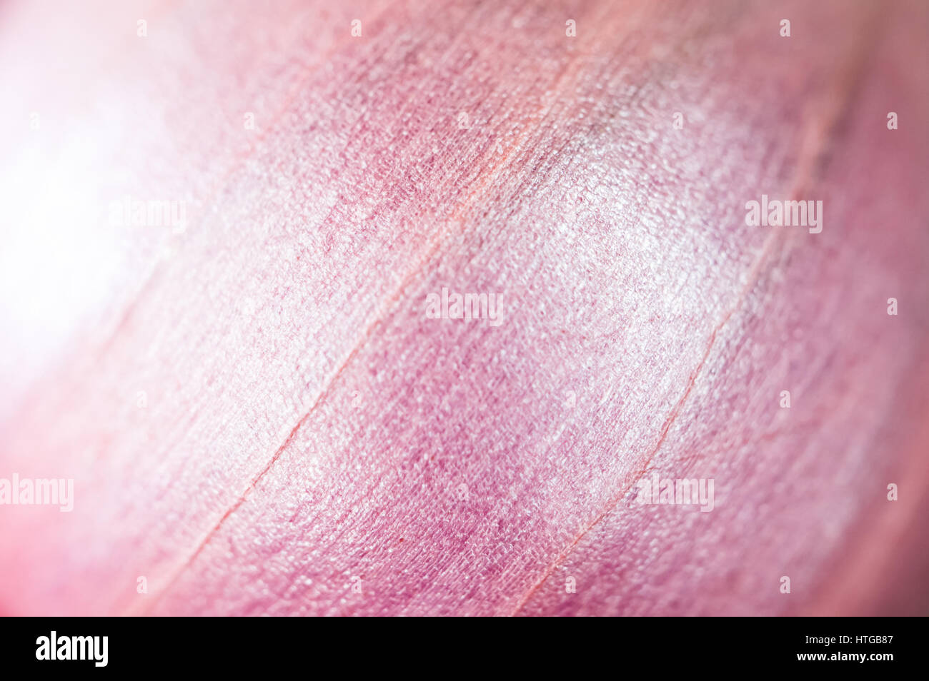 Red onion texture. Nature background and pattern close up shot Stock ...
