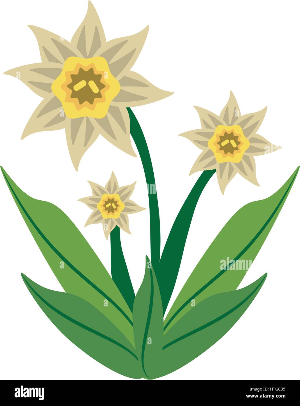 Daffodil arrangement Stock Vector Images - Alamy