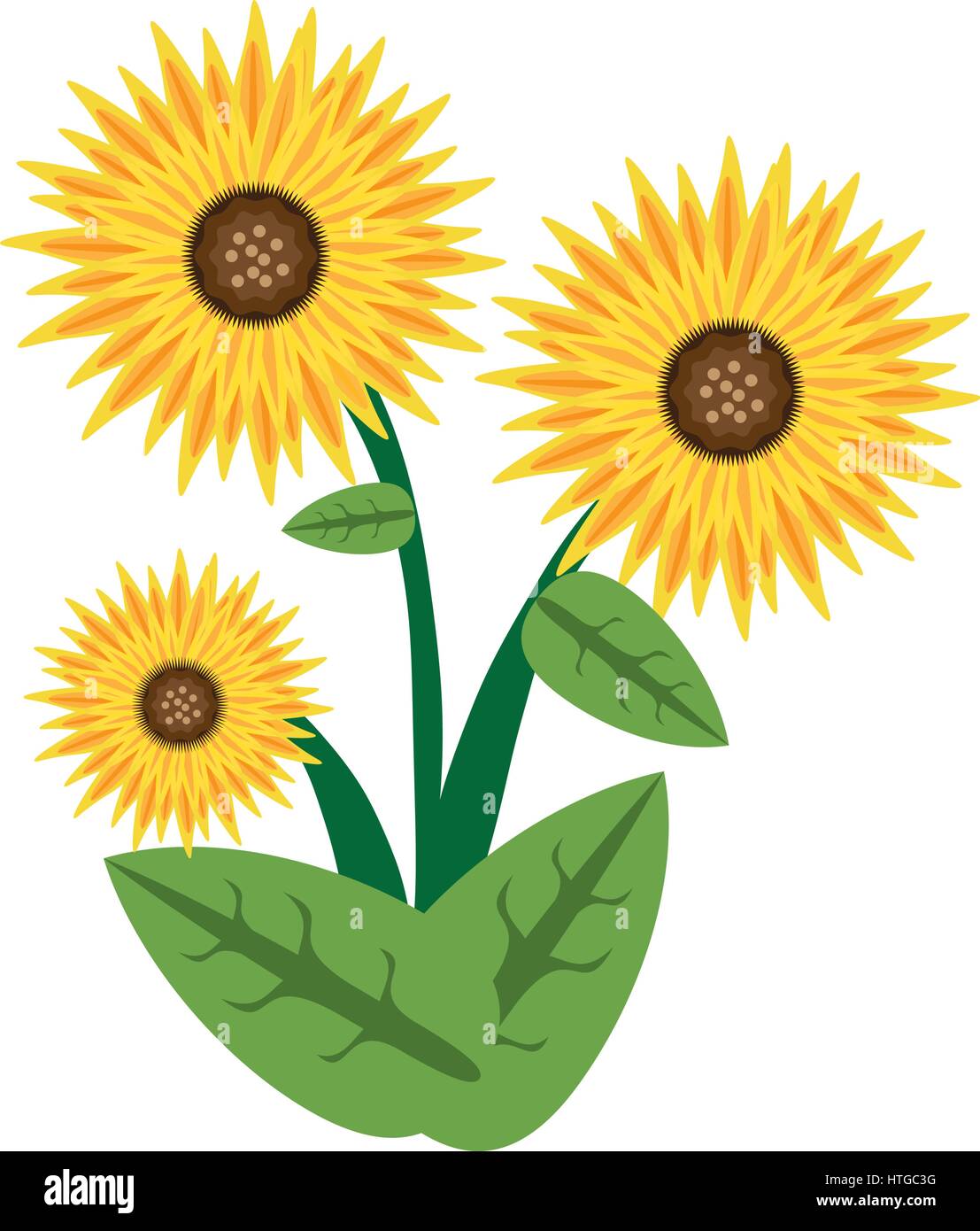 sunflower spring image icon Stock Vector Image & Art - Alamy