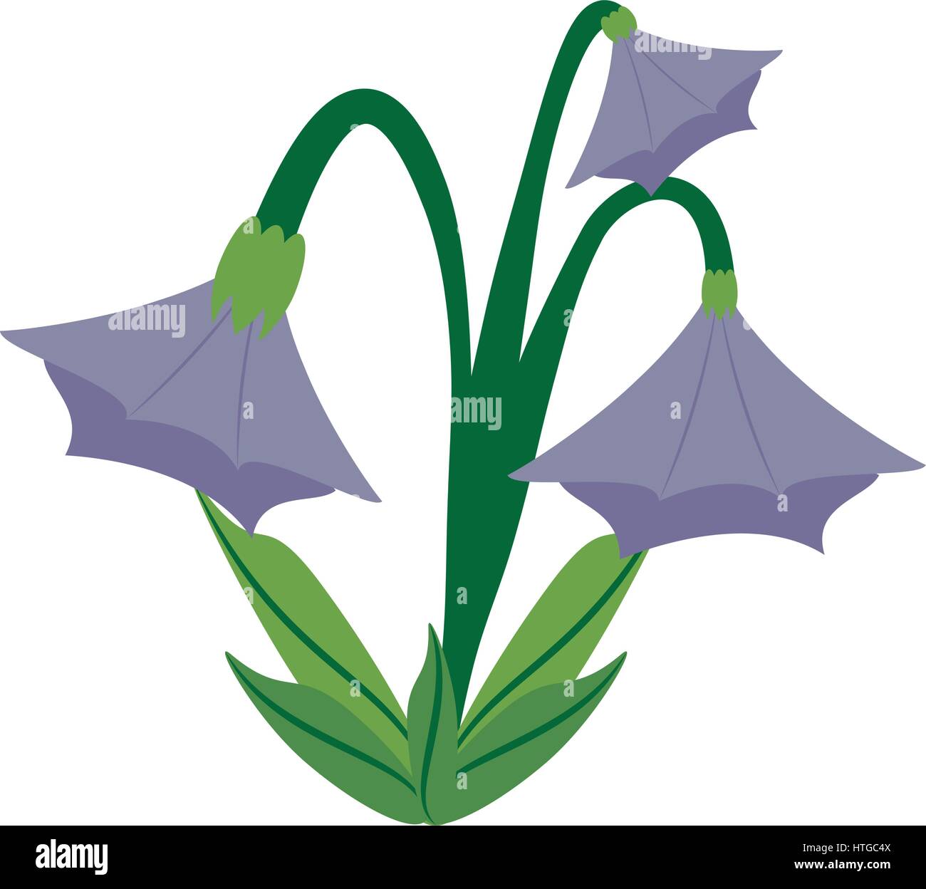 Blue perennial Stock Vector Images - Alamy