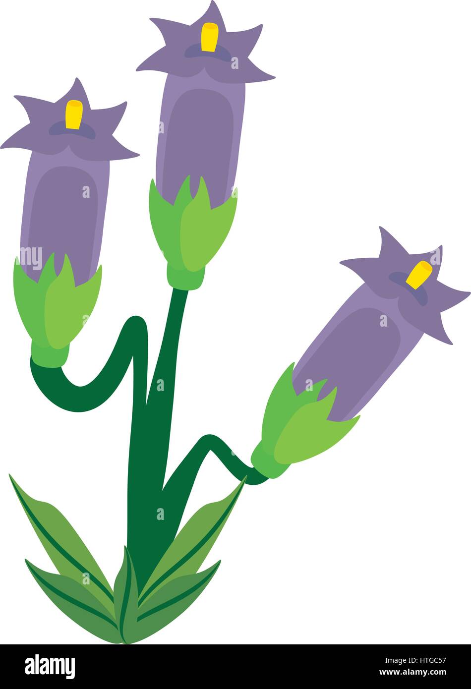 Blooming wild purple crocus Cut Out Stock Images & Pictures - Alamy