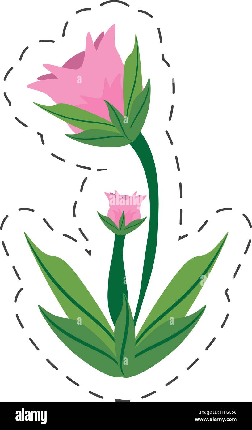 cartoon peony flower image Stock Vector Image & Art - Alamy