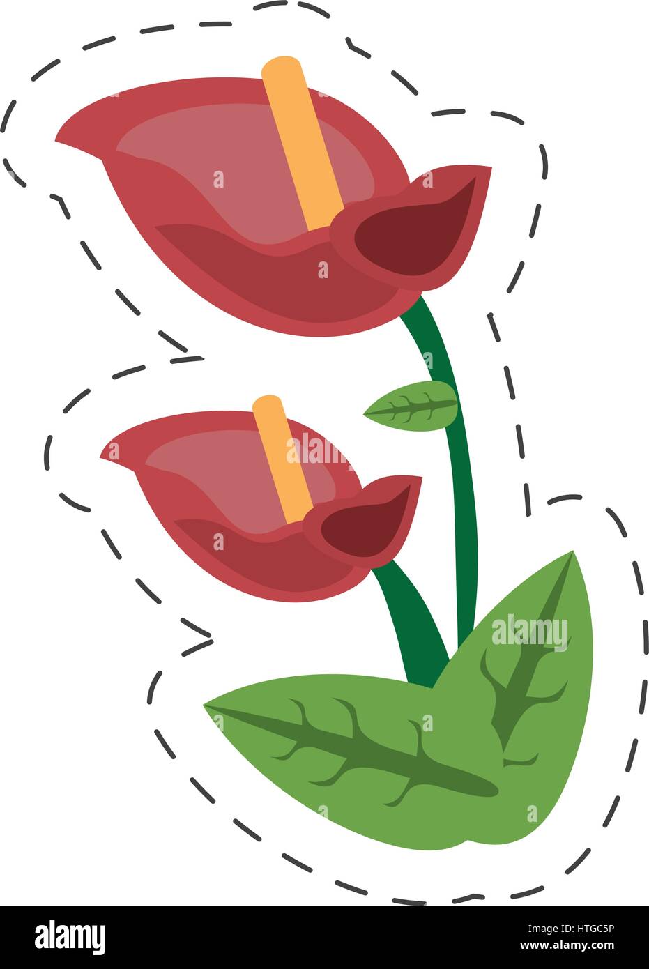 cartoon anthurium flower image Stock Vector Image & Art - Alamy