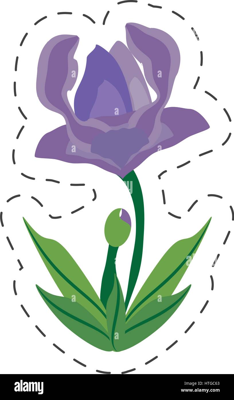 cartoon anemone flower image Stock Vector Image & Art - Alamy