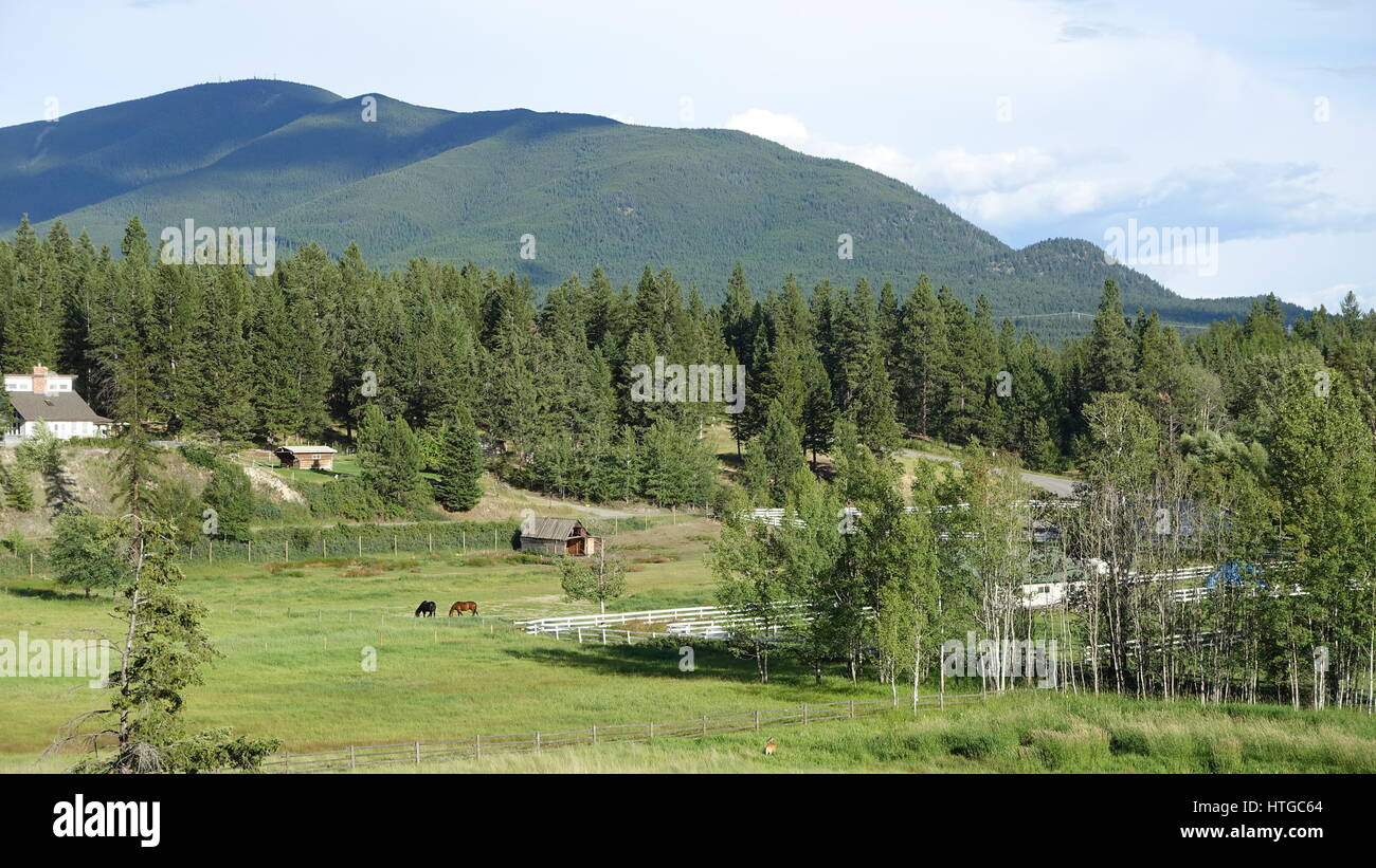 Cranbrook, bc, canada hi-res stock photography and images - Alamy