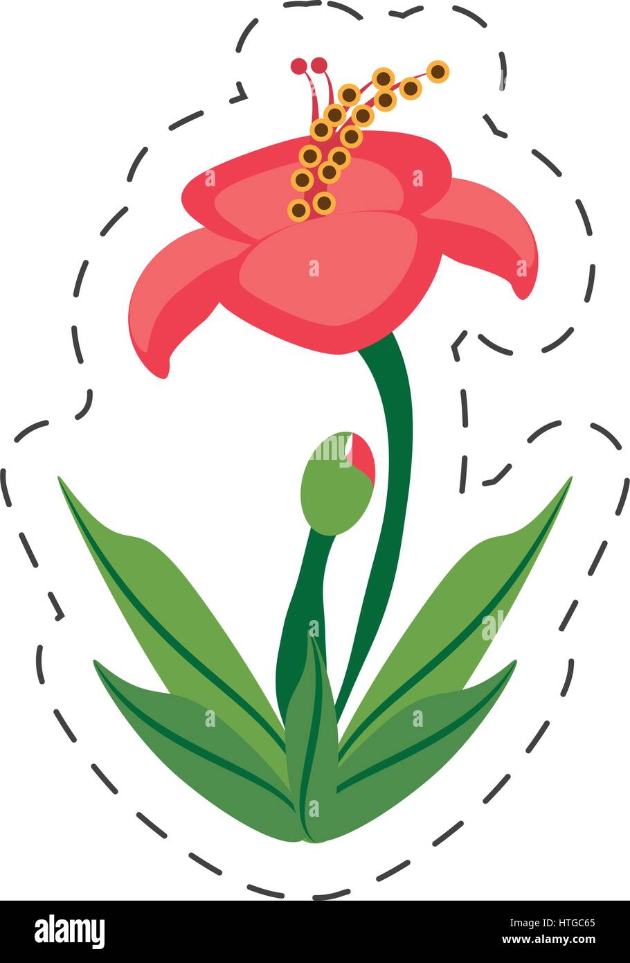 cartoon hibiscus flower image Stock Vector Image & Art - Alamy