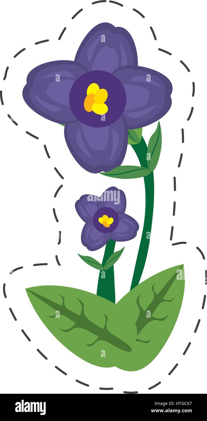 Cartoon african violet flower hi-res stock photography and images - Alamy