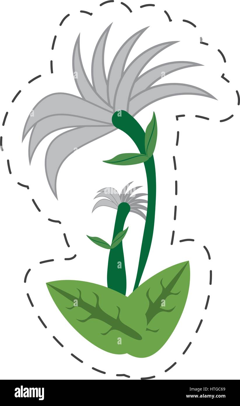 Cartoon Chrysanthemum Flower