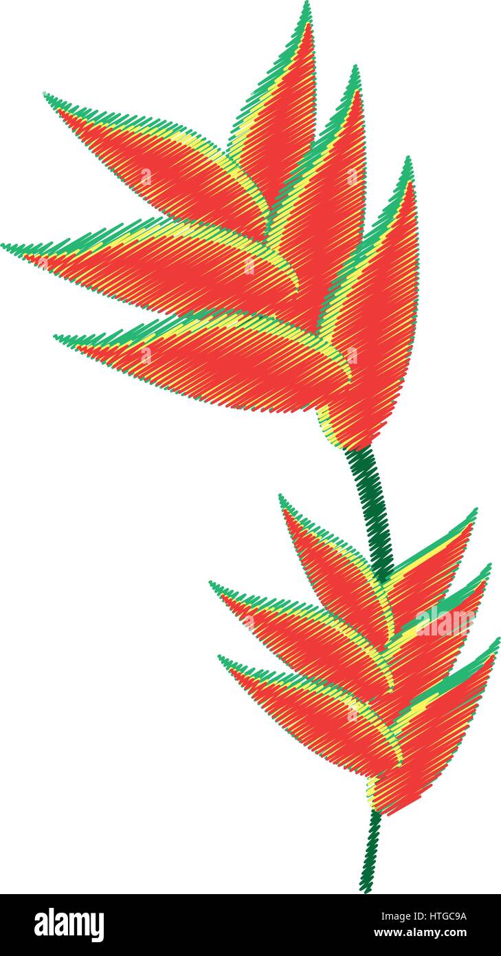 drawing heliconia flower ornament image Stock Vector Image & Art - Alamy