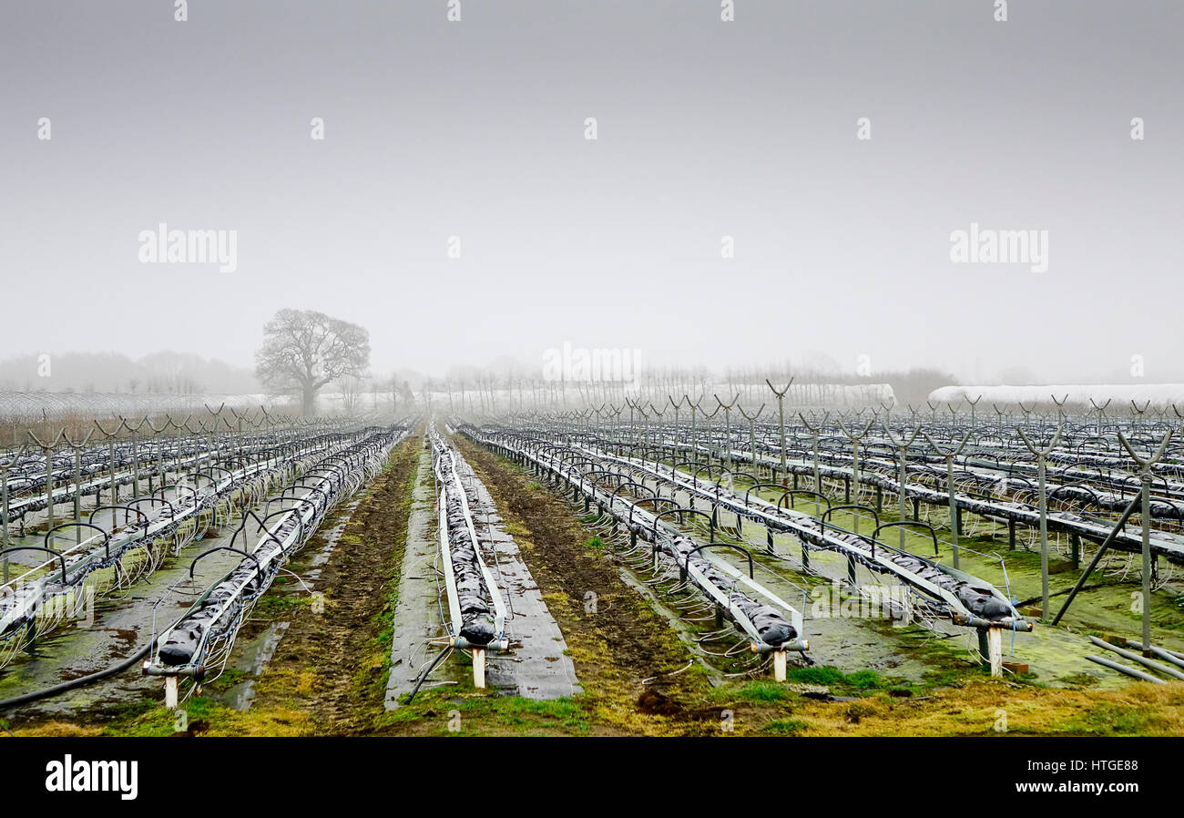Tuesley farm hi-res stock photography and images - Alamy