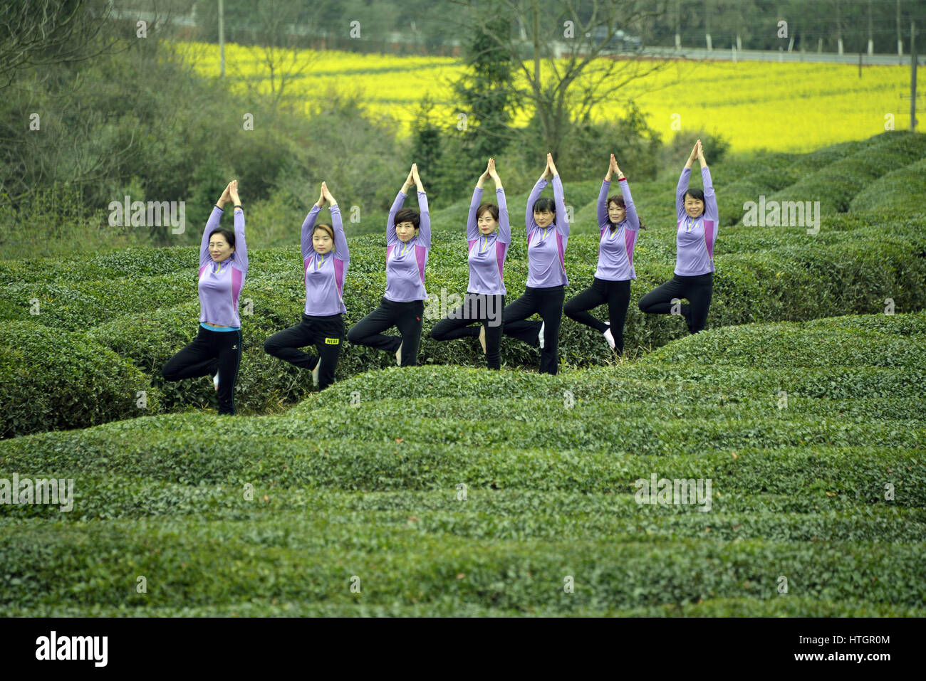 Dexing, Dexing, China. 15th Mar, 2017. Women practice yoga at the tea ...