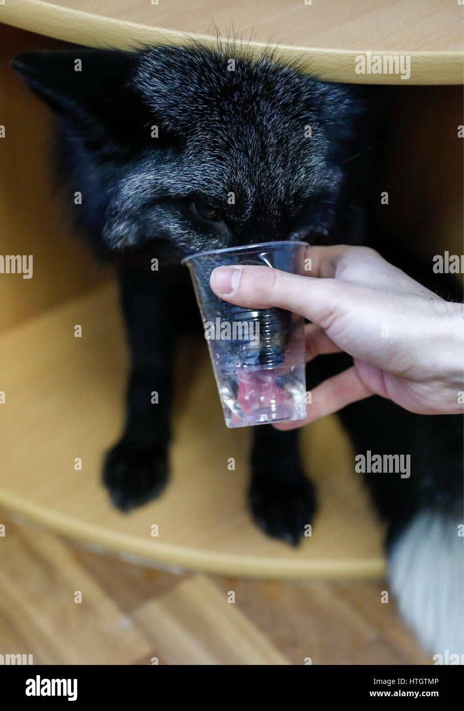 Dmitry Belyaev High Resolution Stock Photography and Images - Alamy