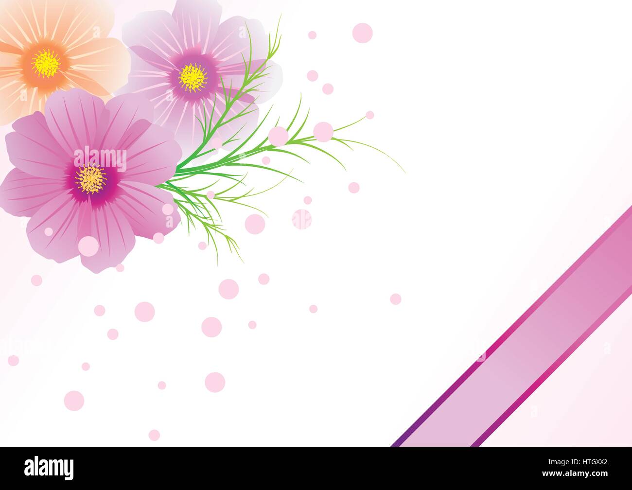Purple cosmos flower plant Stock Vector Images - Alamy