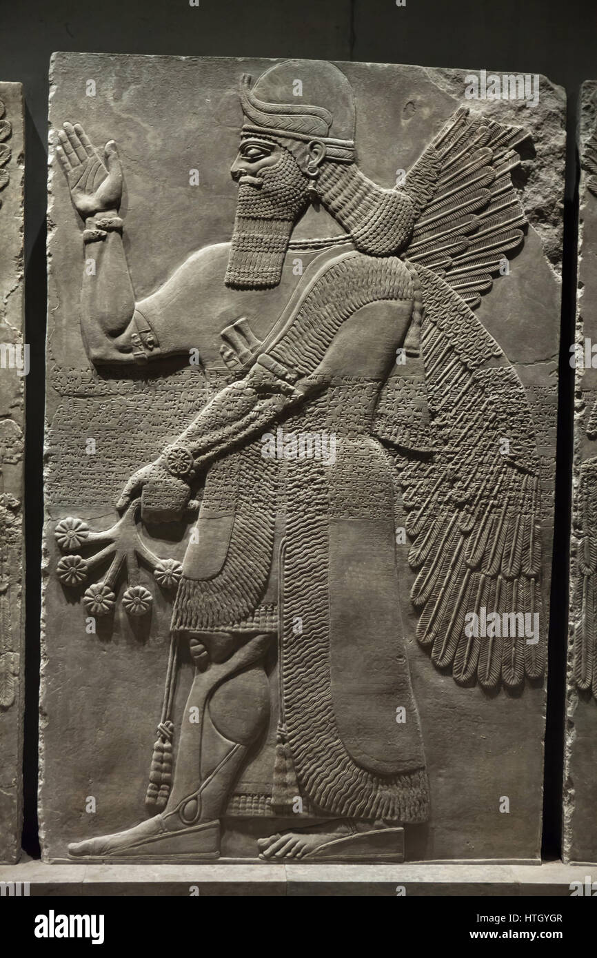 Assyrian winged genie. Assyrian relief from the Northwest Palace of ...