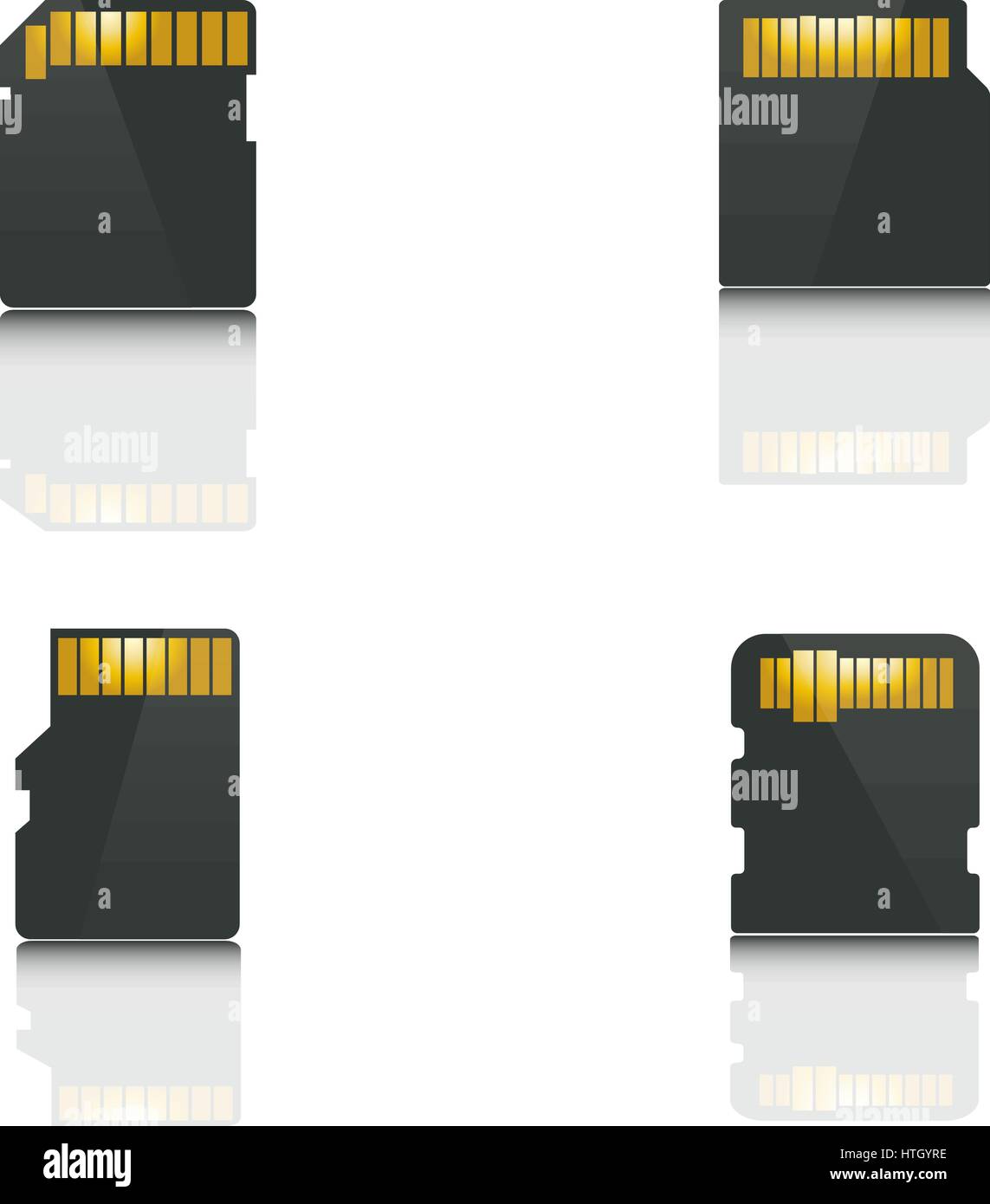 Set the memory card, the back side with a mirror image, vector ...